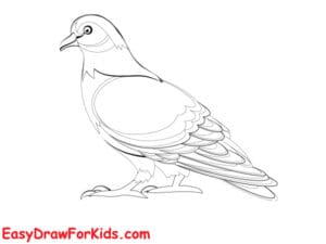 How To Draw A Pigeon - 3 Ways (With Pictures)