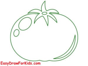 How To Draw A Tomato - 3 Ways (With Pictures)