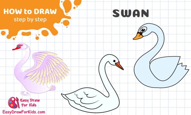 How To Draw A Swan - 3 Ways (With Pictures)
