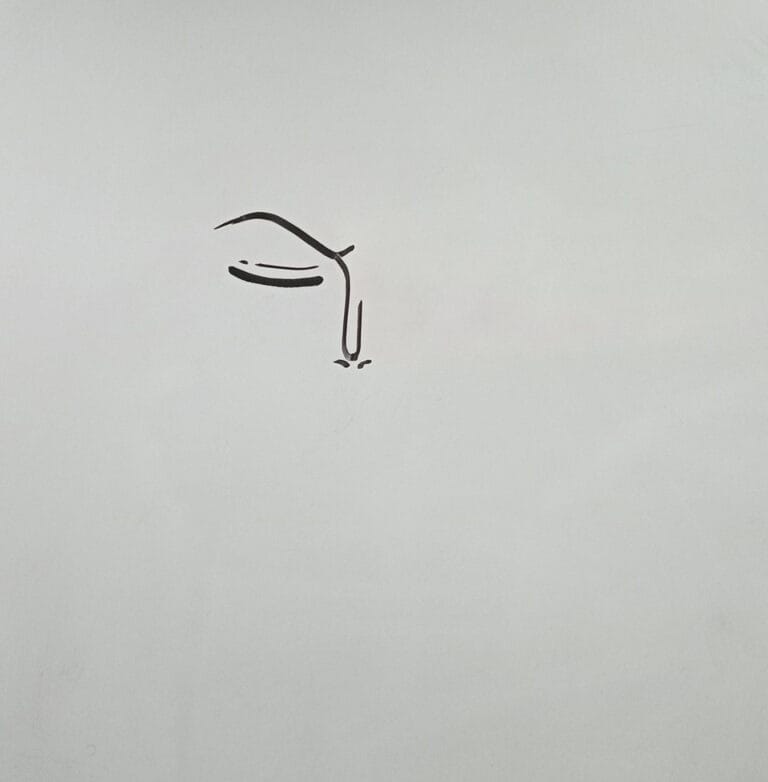 How To Draw Roronoa Zoro From One Piece – 3 Ways (With Pictures)
