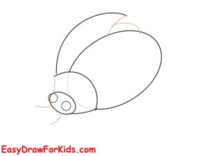 How To Draw A Ladybug - 5 Ways (With Pictures)