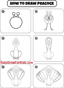 How To Draw A Peacock - 8 Ways (With Pictures)