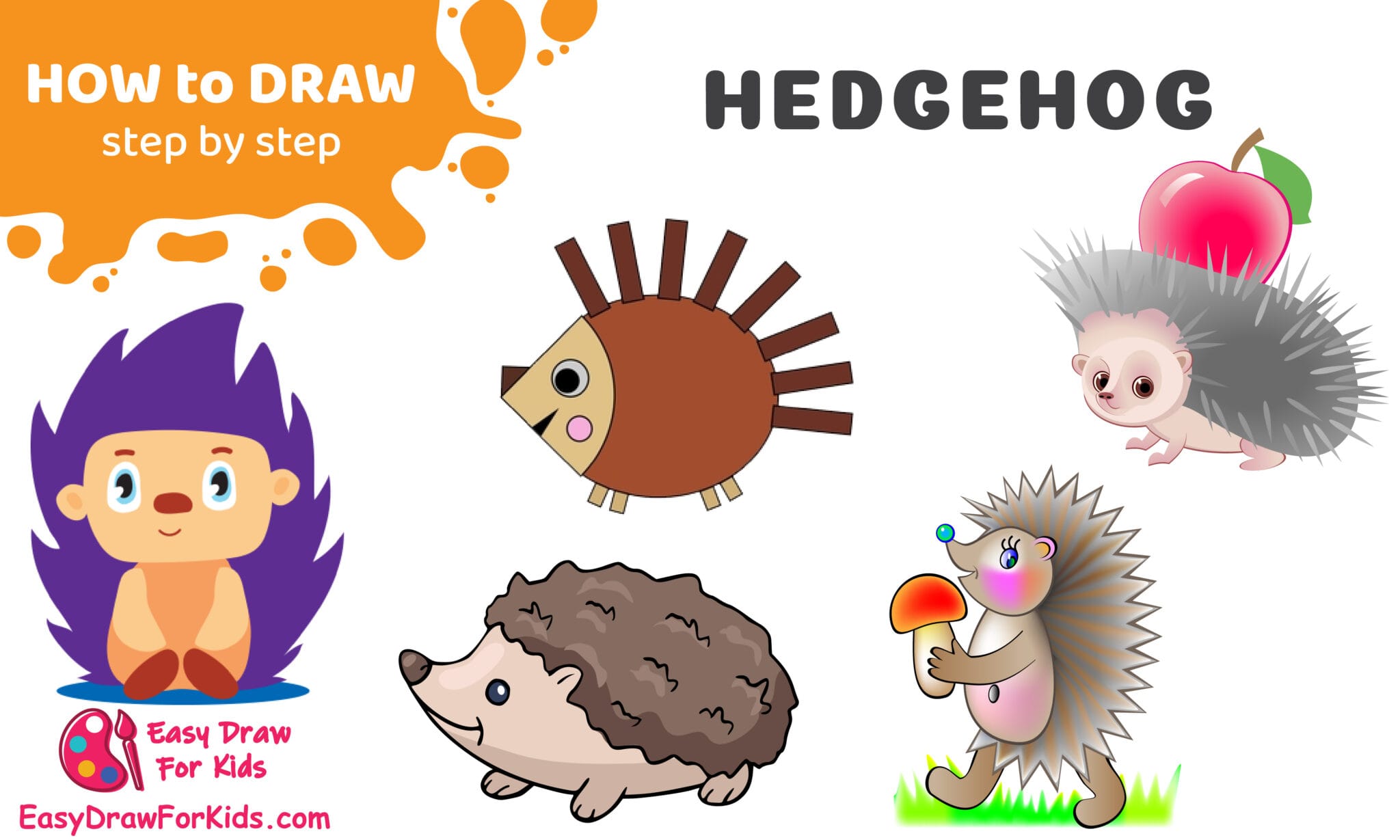 How To Draw A Hedgehog - 18 Ways (With Pictures)