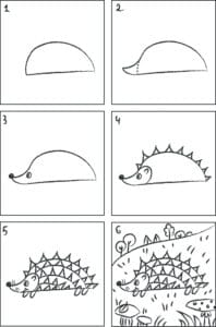How To Draw A Hedgehog - 18 Ways (With Pictures)