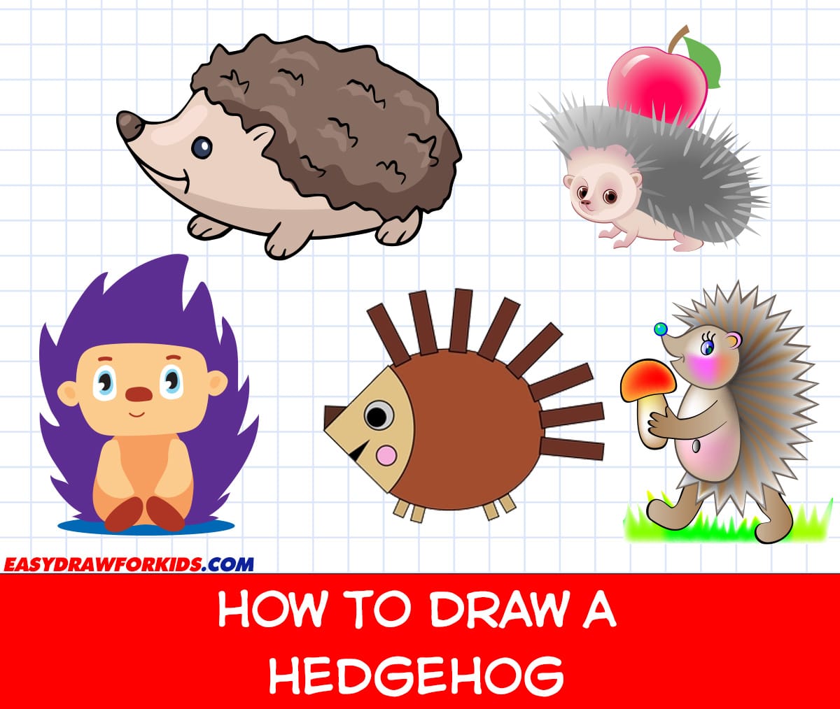 How To Draw A Hedgehog - 18 Ways (With Pictures)
