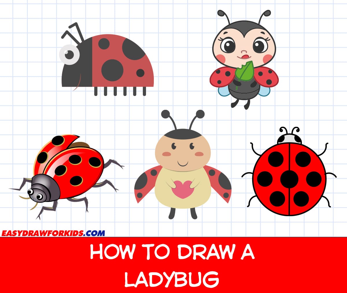 How To Draw A Ladybug - 5 Ways (With Pictures)