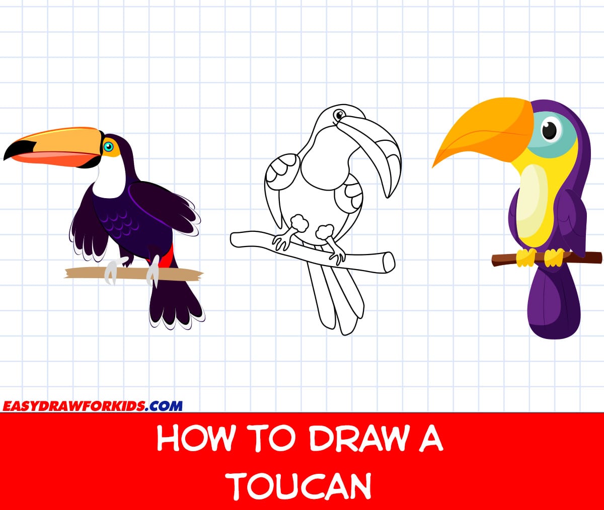 How To Draw A Toucan - 4 Ways (With Pictures)