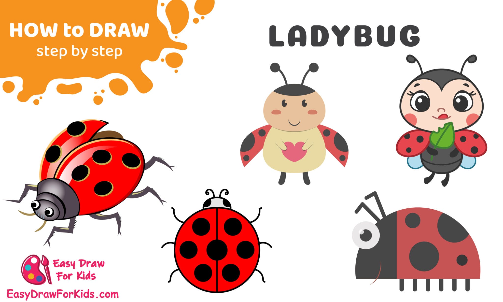 How To Draw A Ladybug - 5 Ways (With Pictures)