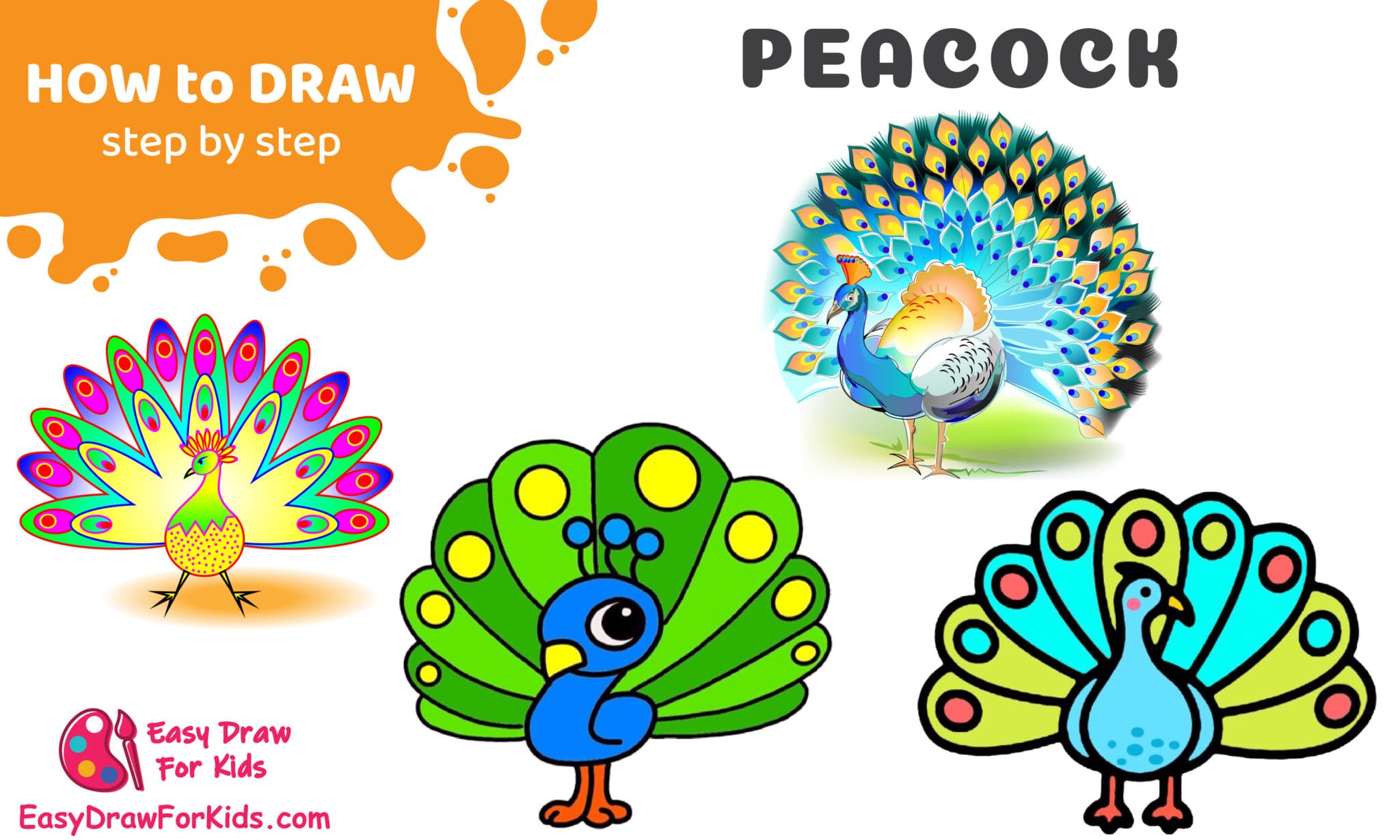 How To Draw A Peacock - 8 Ways (With Pictures)