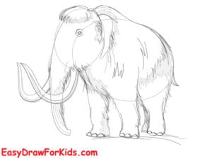 How To Draw A Mammoth - 2 Ways (With Pictures)